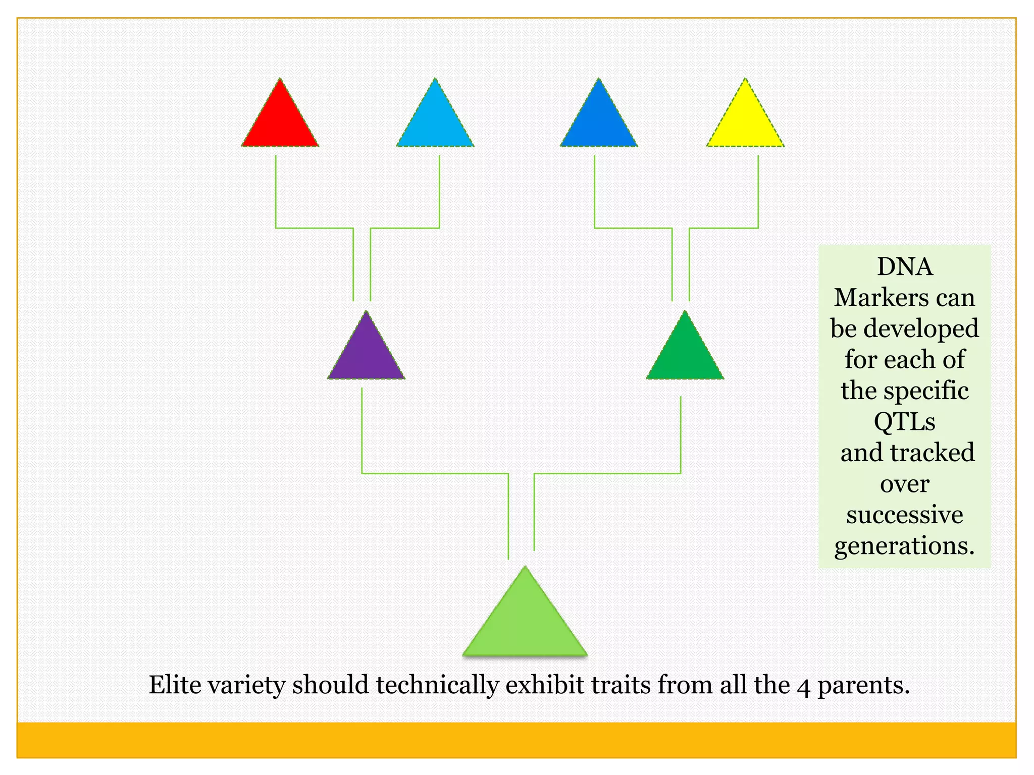 Molecular Breeding in Plants is an introduction to the fundamental ...