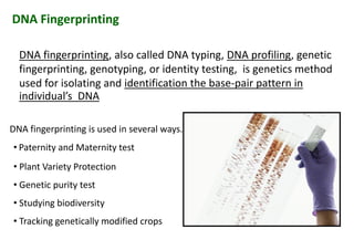 Molecular plant breeding some basic information | PDF