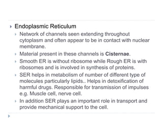 Molecular cell biology 1 | PPTX