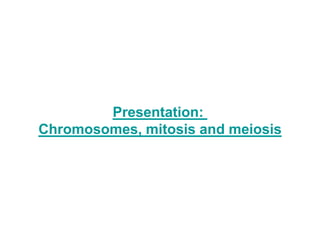 Molecular Cell Biology 1 Basics of Molecular Biology.ppt