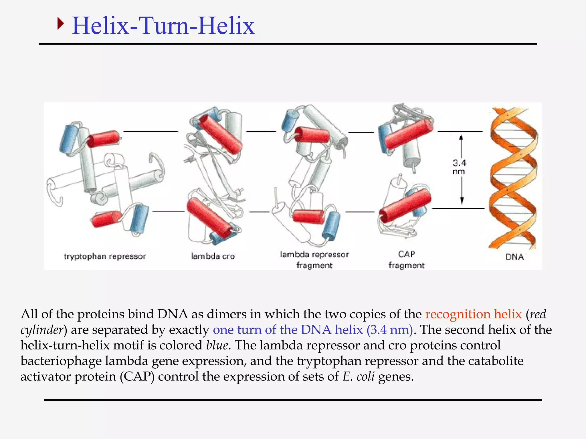 transciption powerpoint | PPT
