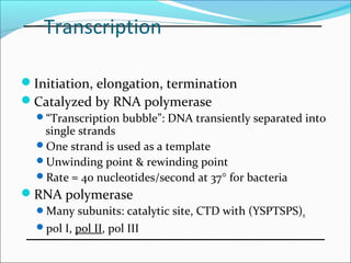 Molecular cell biology 2 transcription | PPT