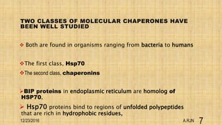 Molecular chaperones | PPTX