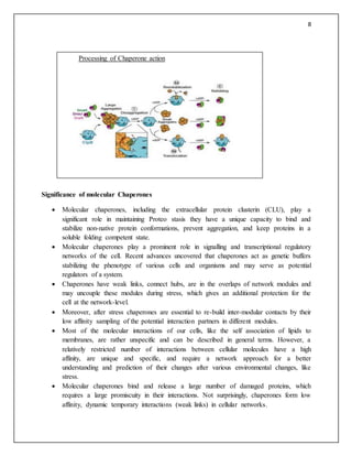Molecular chaperones | DOCX