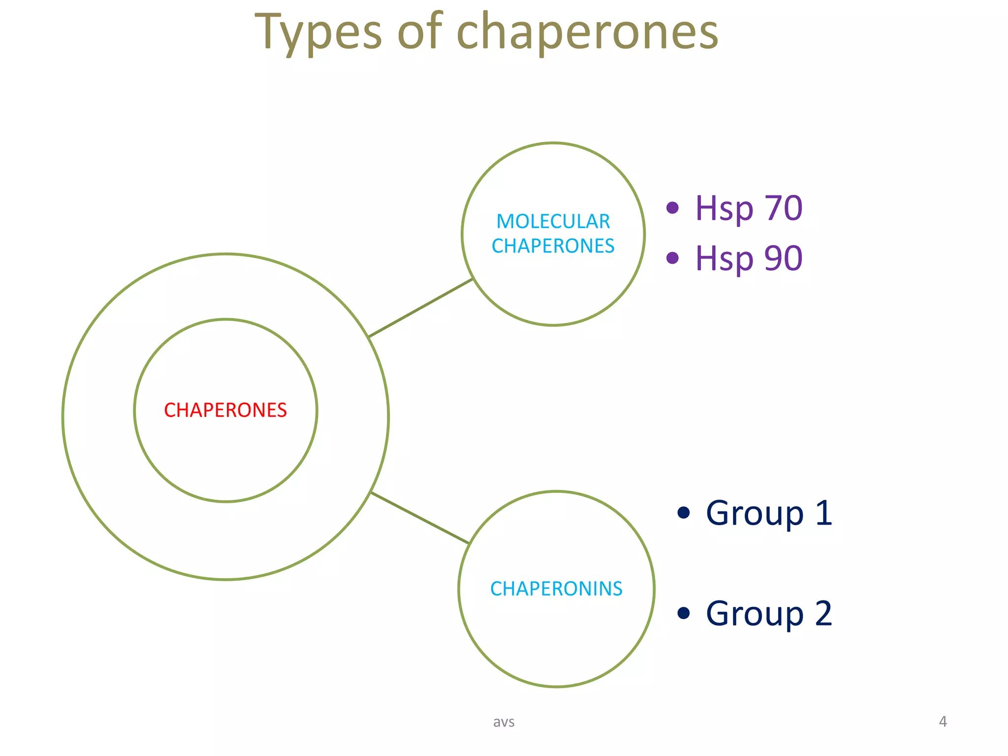 Molecular chaperones | PPTX