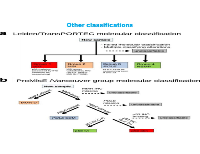 Molecular classification of endometrial cancer
