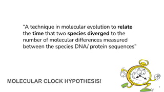 Molecular Clock