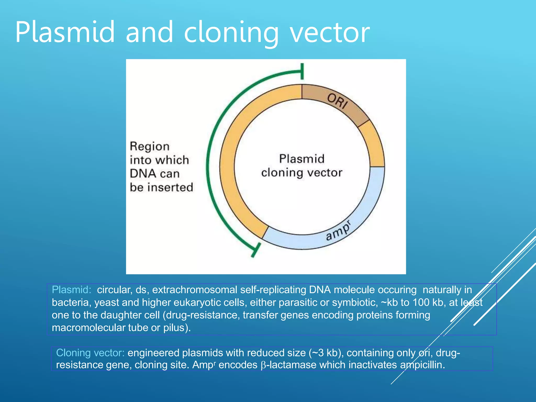 Molecular Cloning.pptx