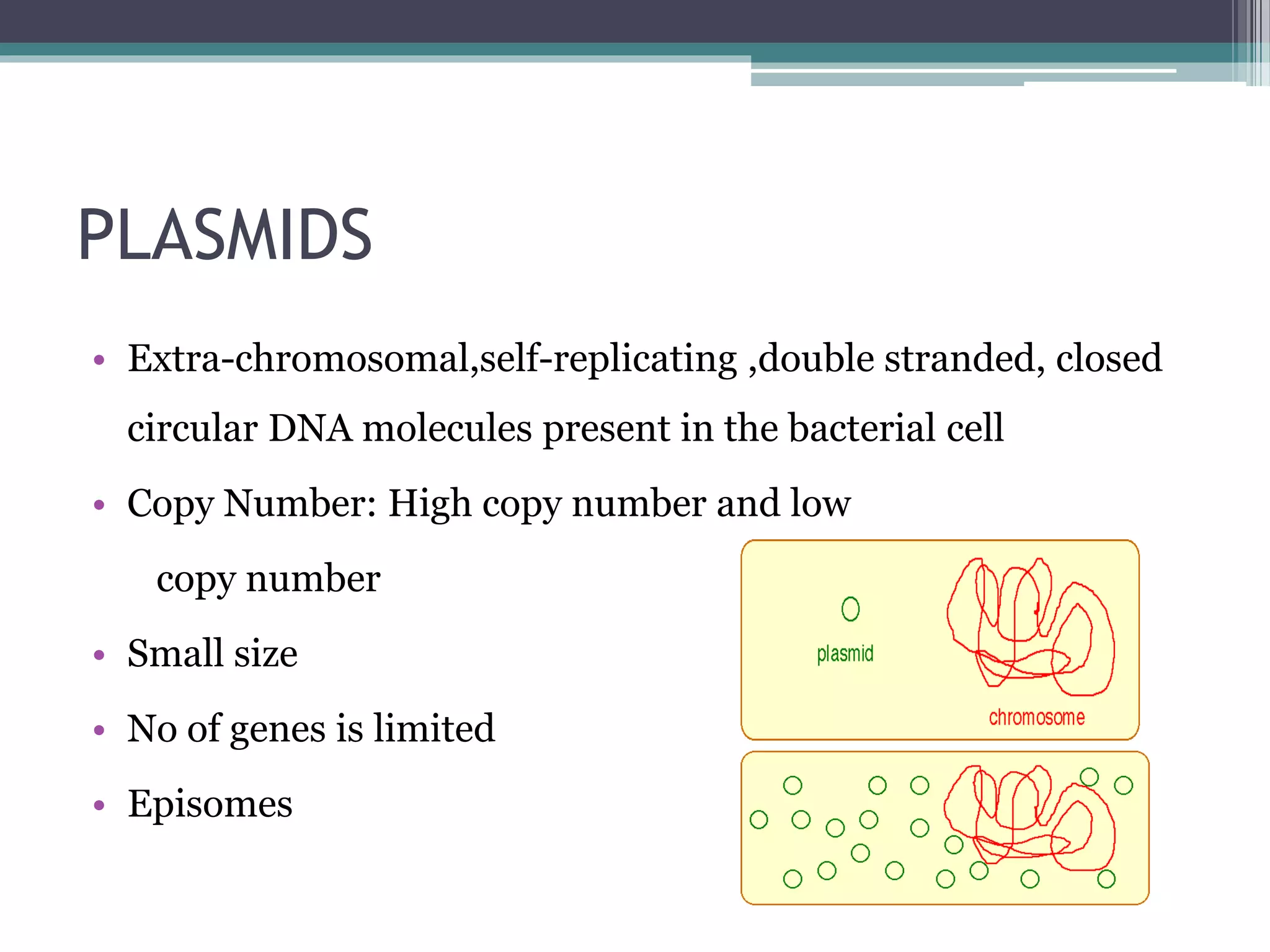 Molecular cloning vectors | PPTX