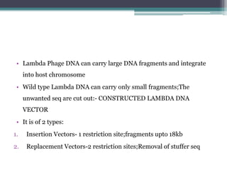 Molecular cloning vectors | PPTX | Biological Sciences | Science