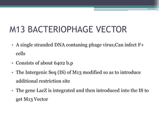 Molecular cloning vectors | PPTX | Biological Sciences | Science