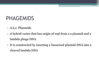 Molecular cloning vectors | PPTX | Biological Sciences | Science