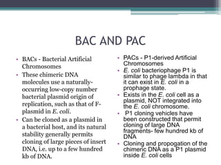 Molecular cloning vectors | PPTX | Biological Sciences | Science