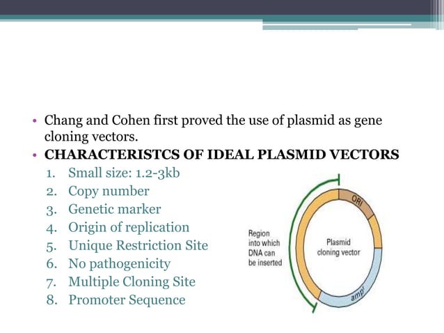 Molecular cloning vectors | PPTX | Biological Sciences | Science