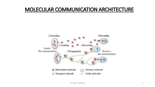 Molecular communication - Alchetron, the free social encyclopedia