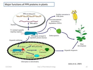 Molecular control of male fertility for crop hybrid breeding | PPT