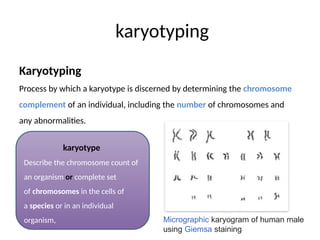 molecular cytogenetics.pptx by taimoor khan | PPTX