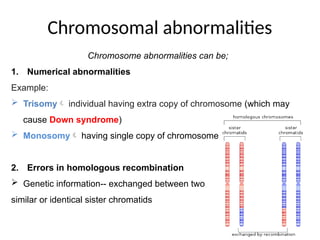 molecular cytogenetics.pptx by taimoor khan | PPTX