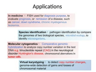 molecular cytogenetics.pptx by taimoor khan | PPTX