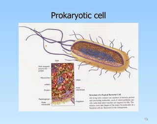 Molecular design of life | PPT