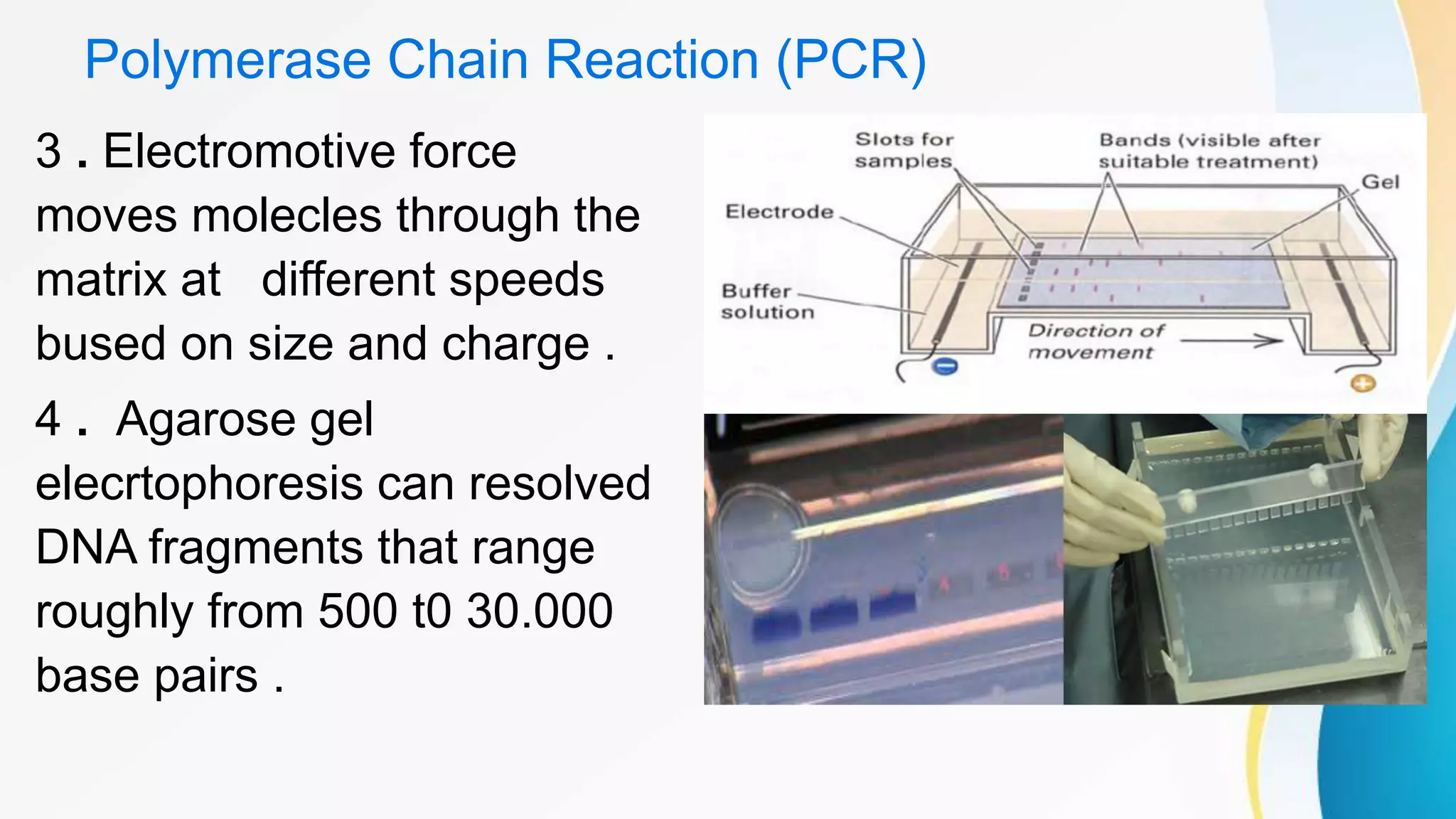 Identification and Detection of Microorganism | PPTX