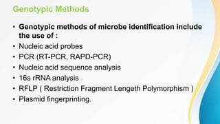 Identification and Detection of Microorganism | PPTX