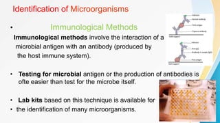 Identification and Detection of Microorganism | PPTX