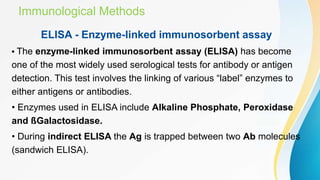 Identification and Detection of Microorganism | PPTX