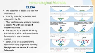 Identification and Detection of Microorganism | PPTX