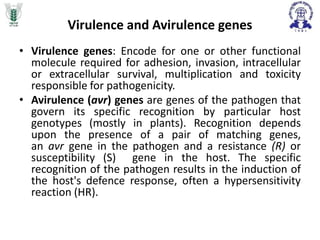 Molecular determinants of pathogenicity and virulence among pathogens.pptx