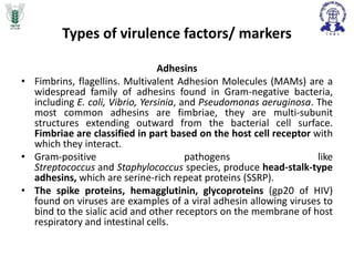 Molecular determinants of pathogenicity and virulence among pathogens.pptx