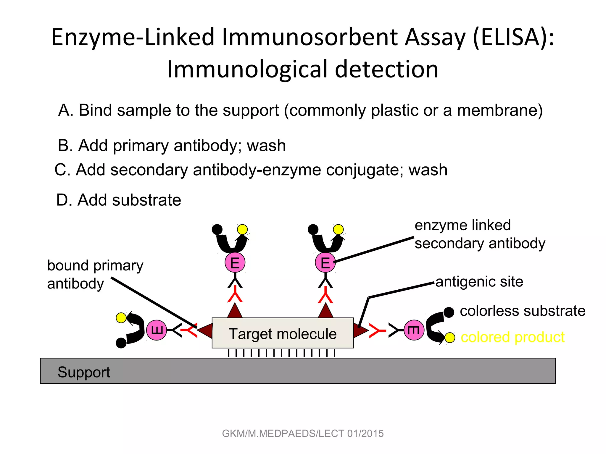 Molecular diagnostics | PPT
