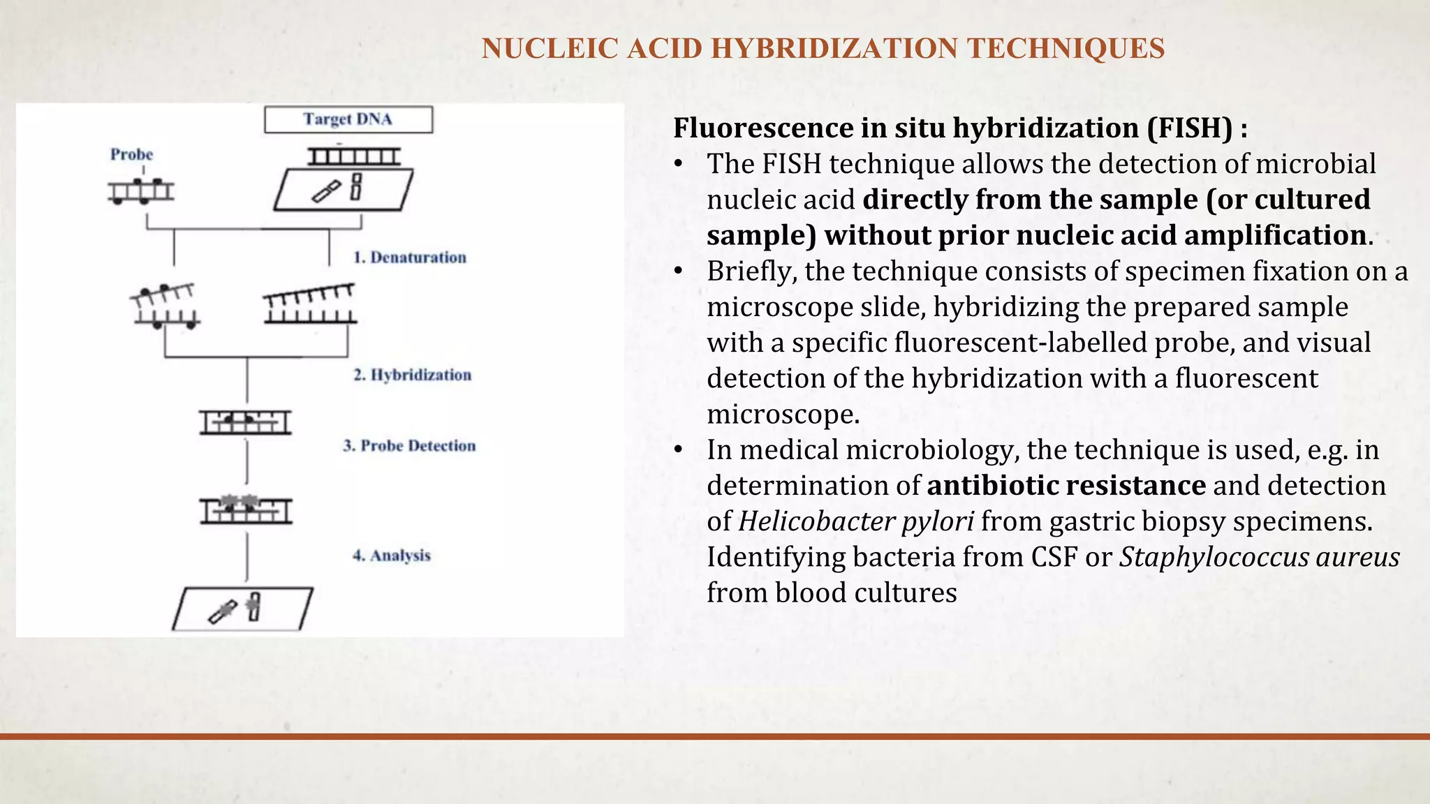 Molecular Diagnostics.pptx