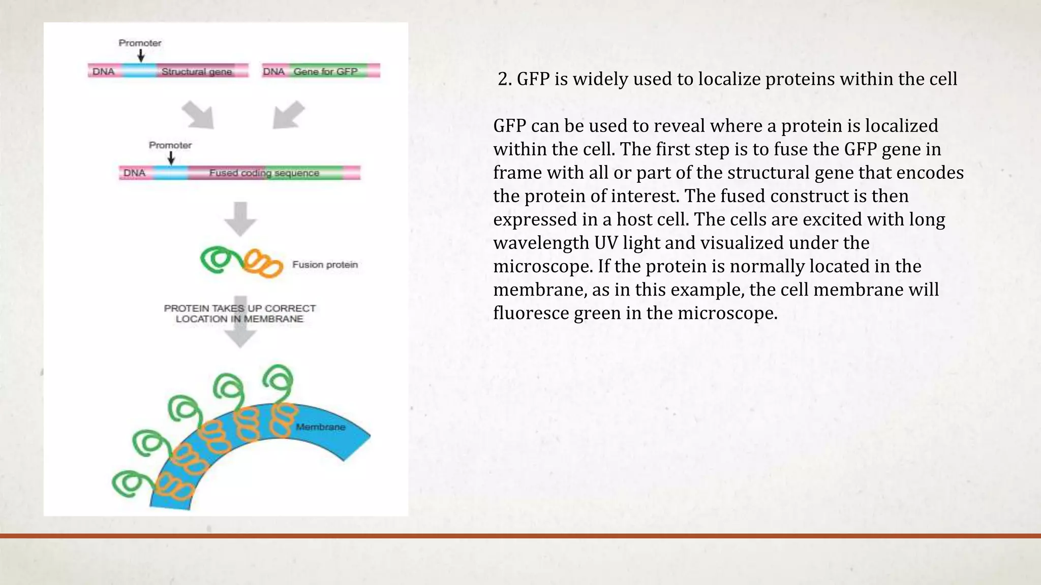 Molecular Diagnostics.pptx