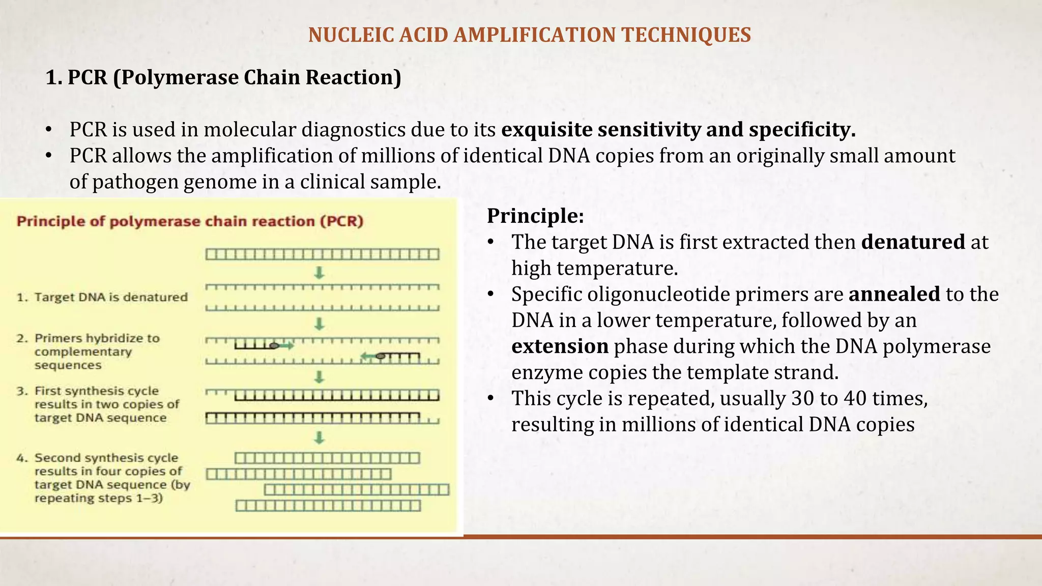 Molecular Diagnostics.pptx