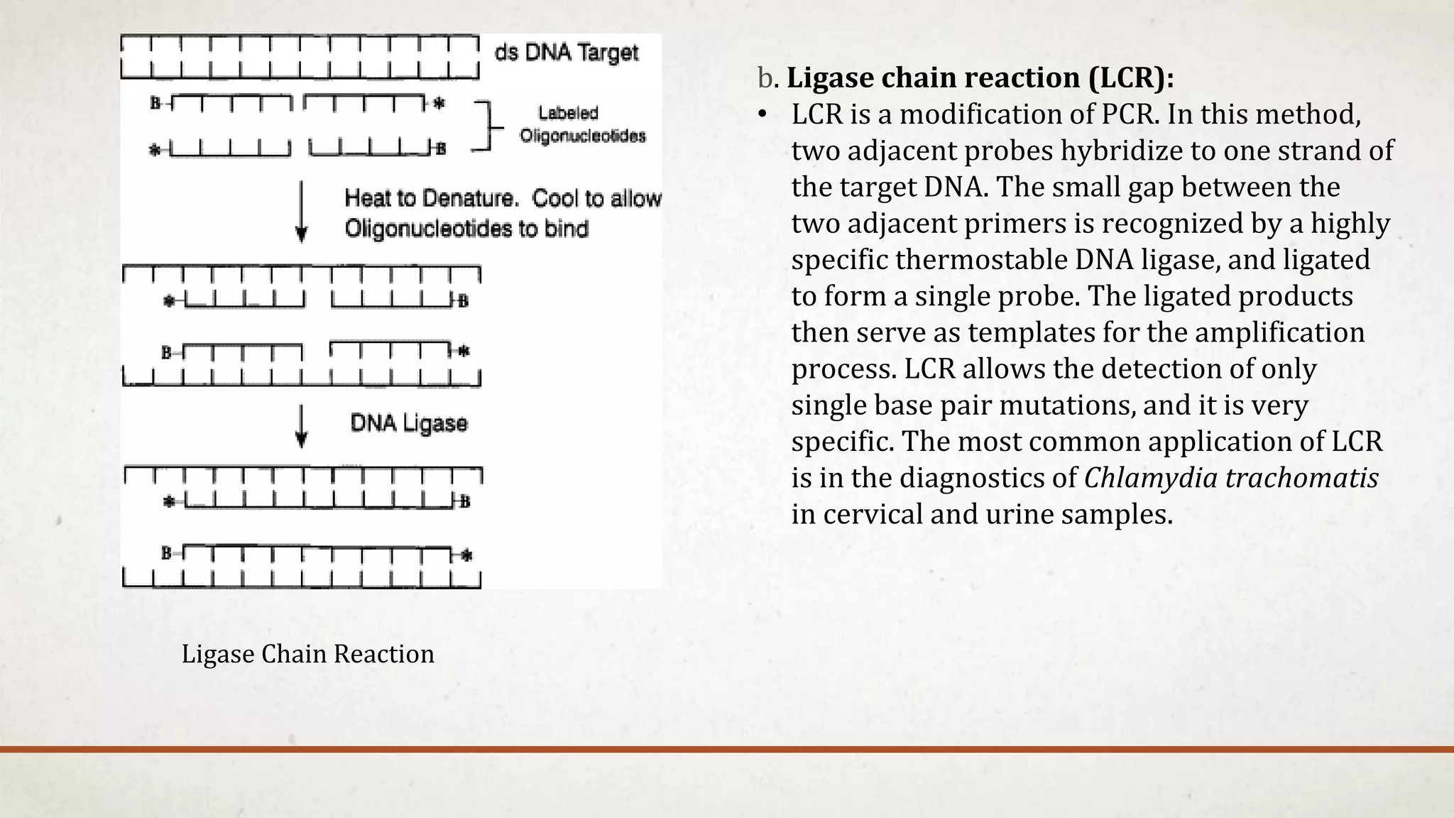 Molecular Diagnostics.pptx