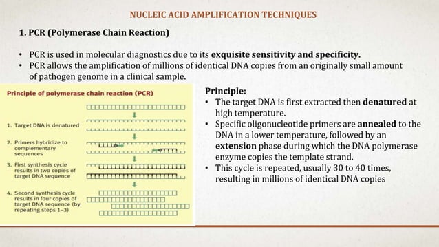 Molecular Diagnostics.pptx | Infectious Diseases | Diseases and Conditions