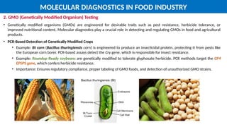 Molecular Diagnostics, Antibiotics and Vaccine | PPTX
