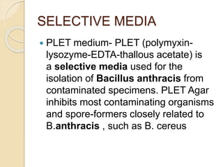 Molecular diagnostics of bacillus anthracis( immune and molecular ...