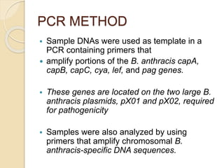 Molecular diagnostics of bacillus anthracis( immune and molecular ...
