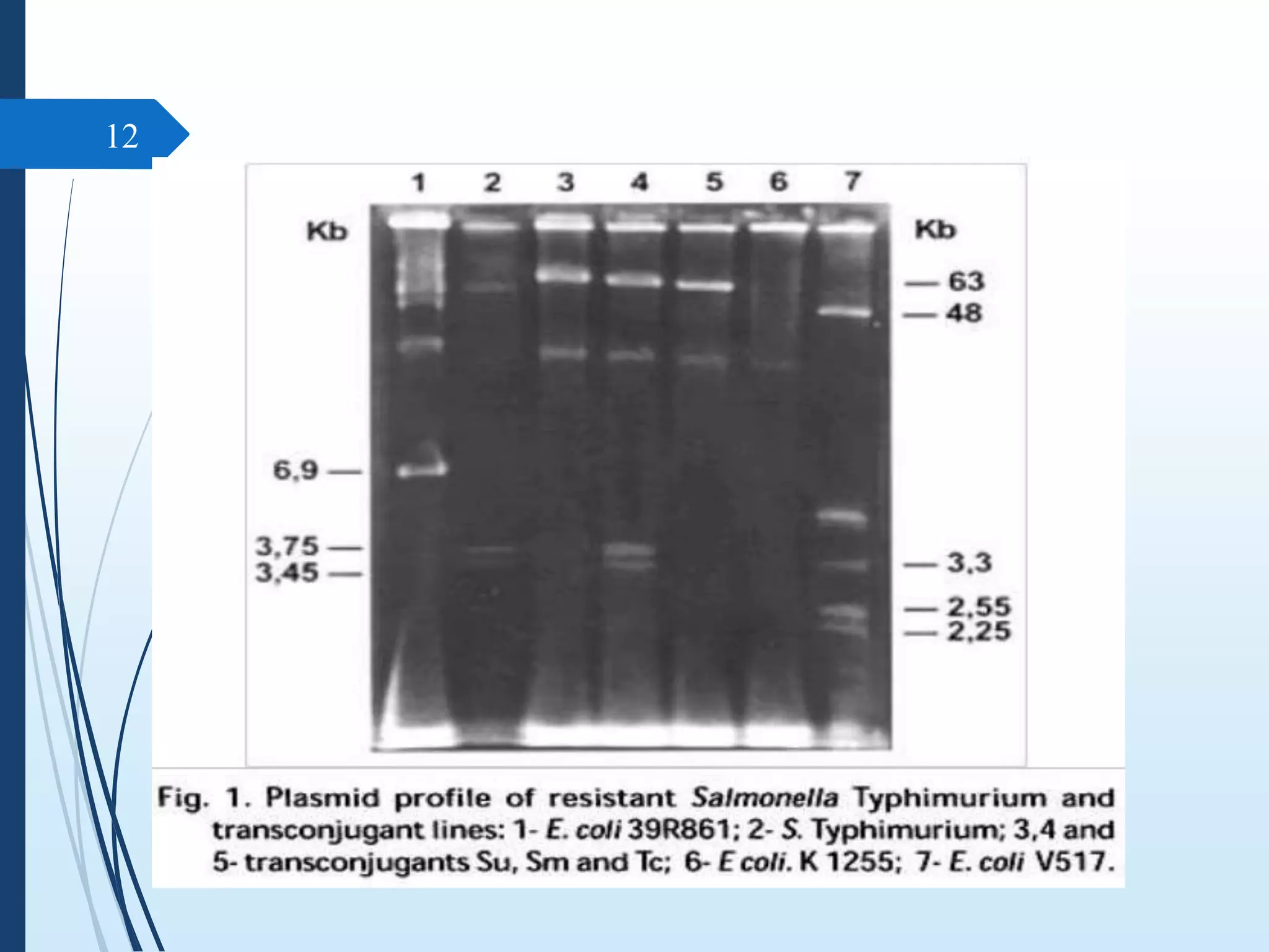 Molecular diagnostics techniques | PPTX