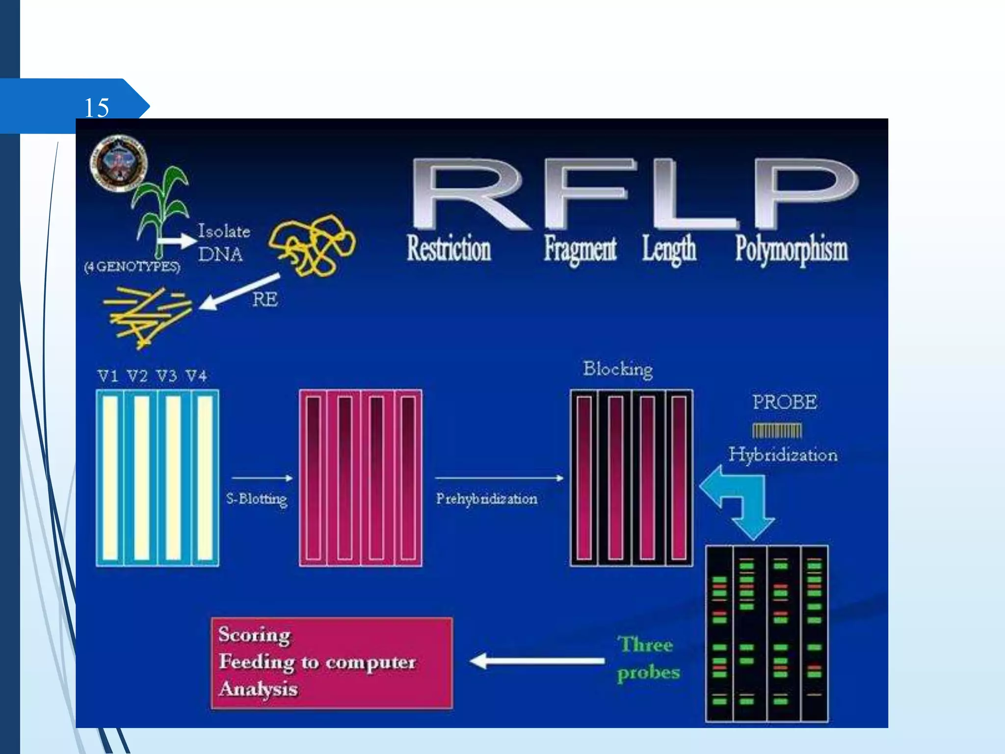 Molecular diagnostics techniques | PPTX