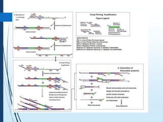 Molecular diagnostics techniques | PPTX