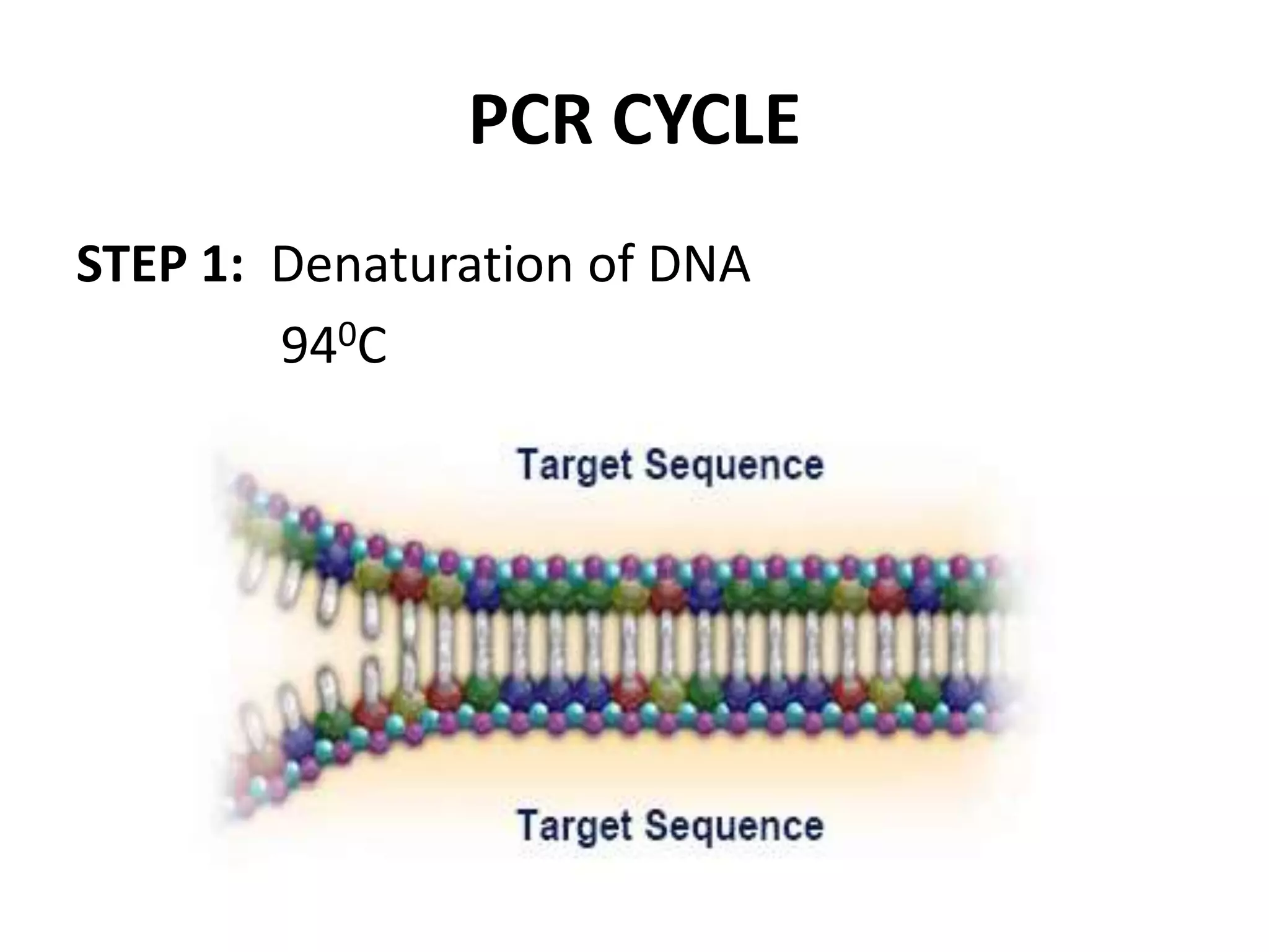 Molecular diagnostic techniques | PPTX