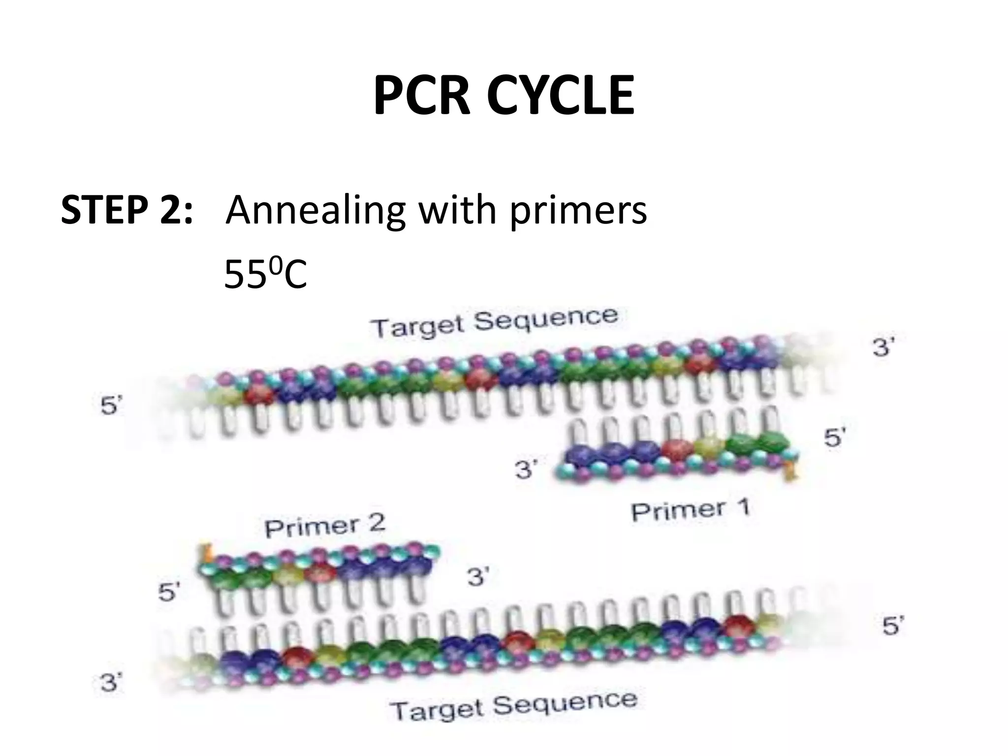 Molecular diagnostic techniques | PPTX