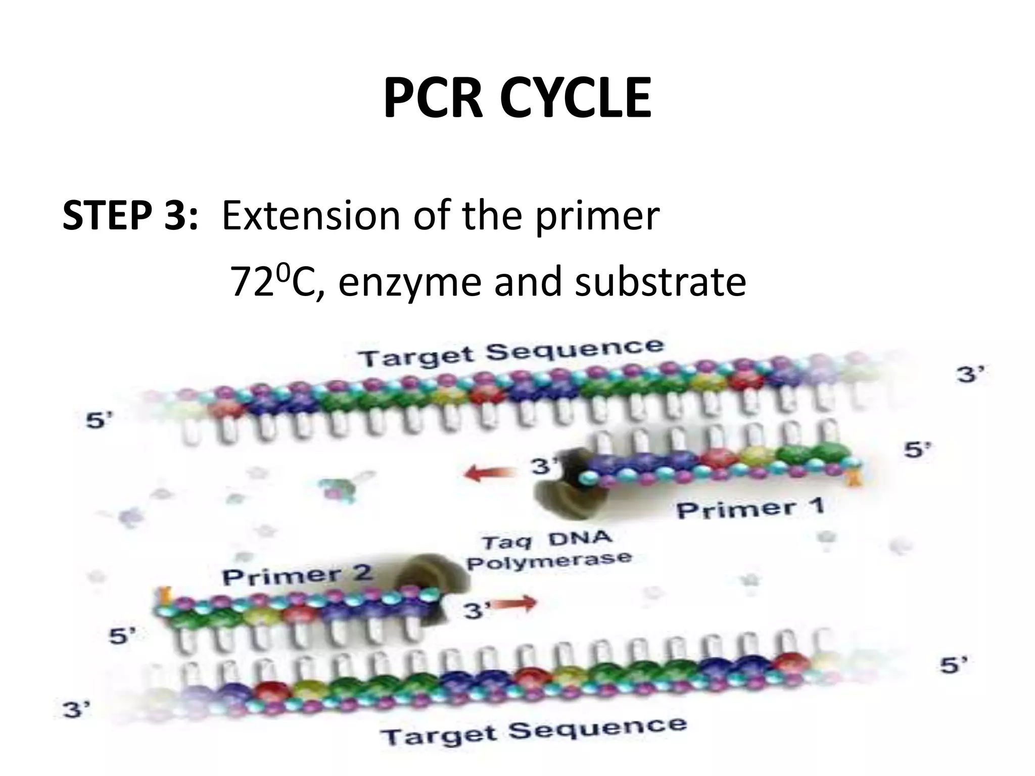 Molecular diagnostic techniques | PPTX
