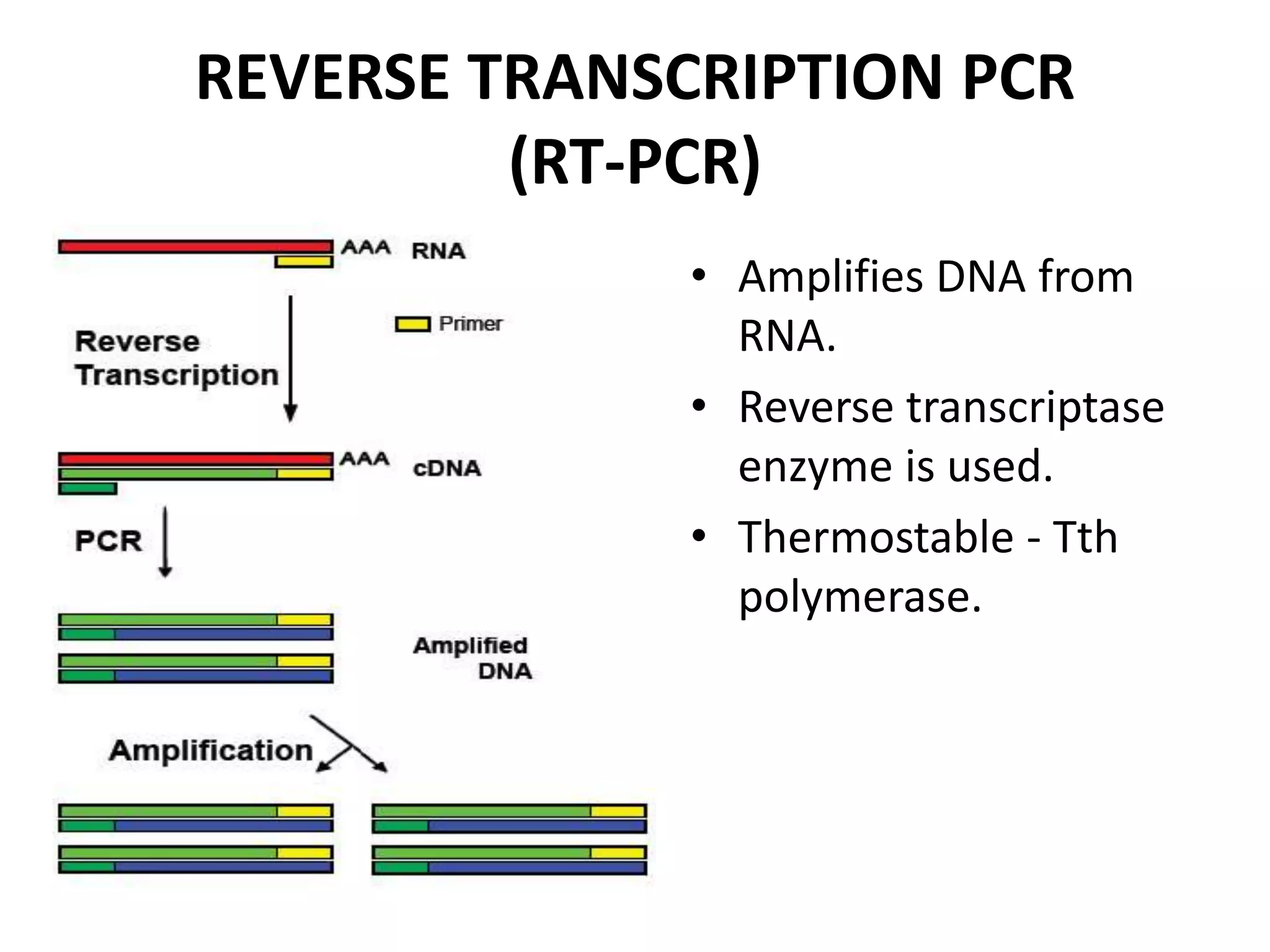 Molecular diagnostic techniques | PPTX