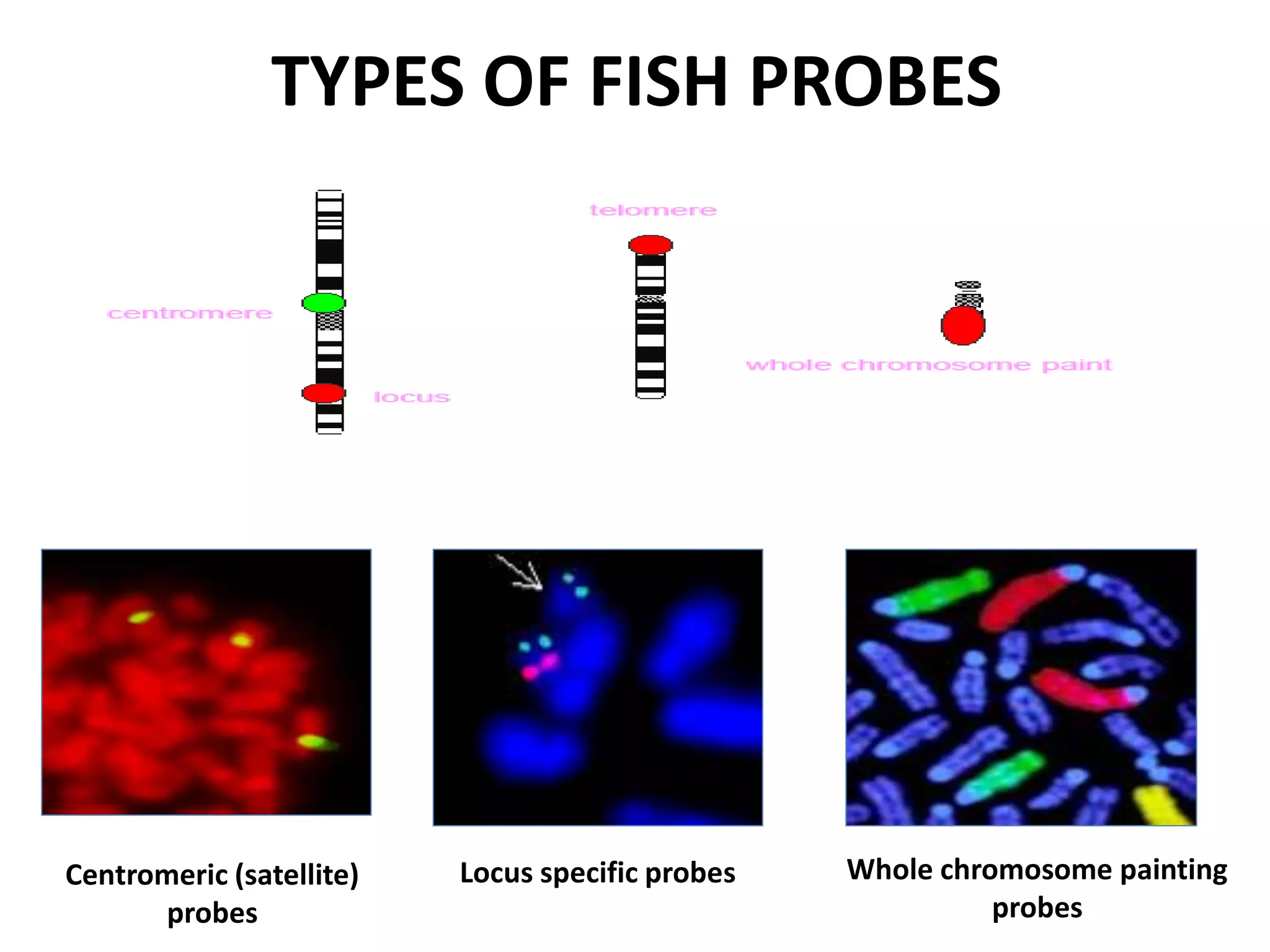 Molecular diagnostic techniques | PPTX