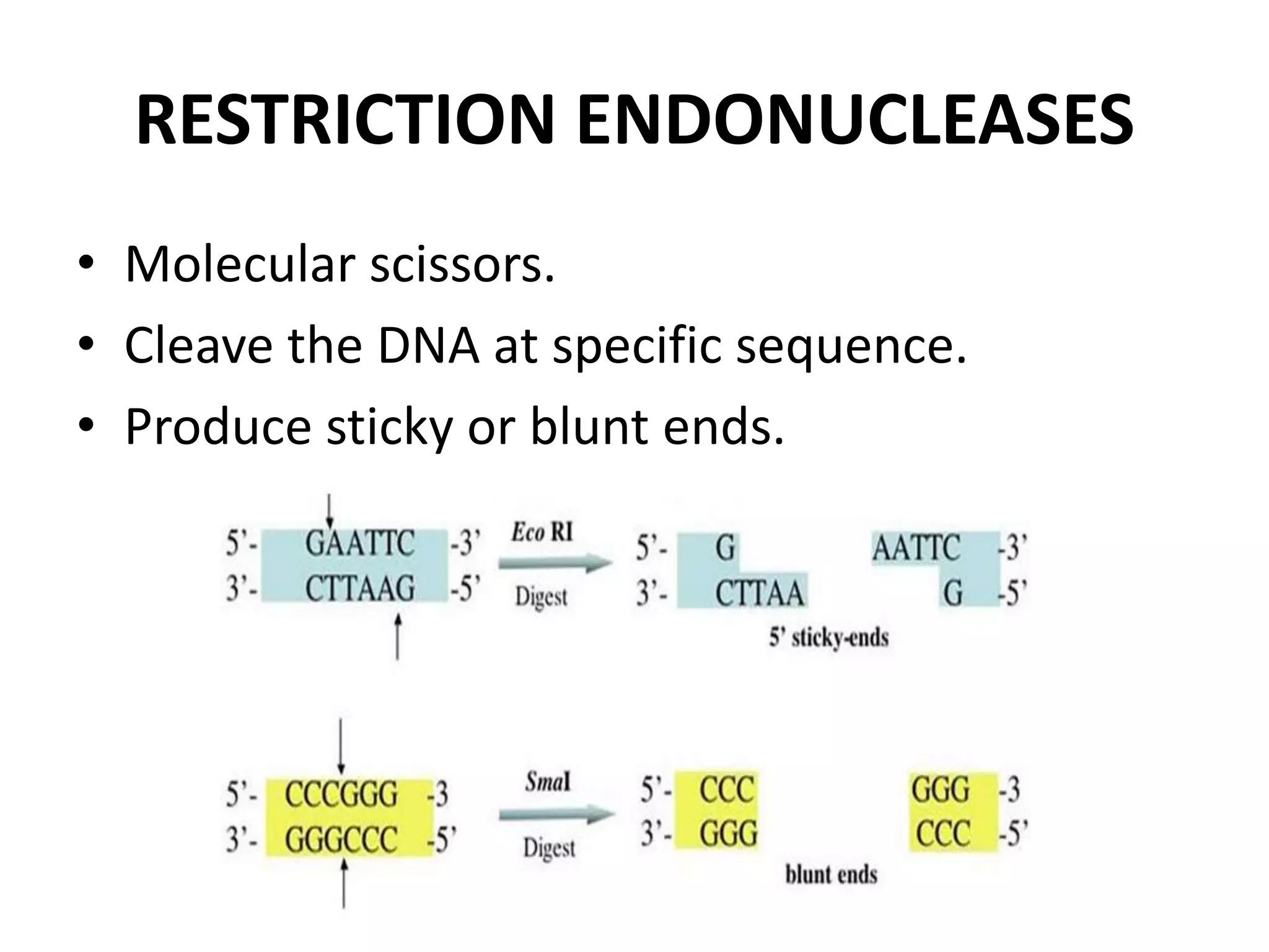 Molecular diagnostic techniques | PPTX