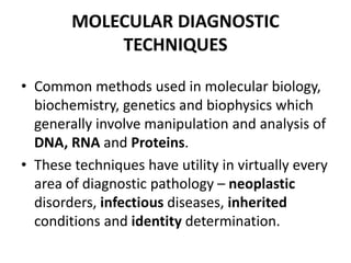 Molecular diagnostic techniques | PPTX